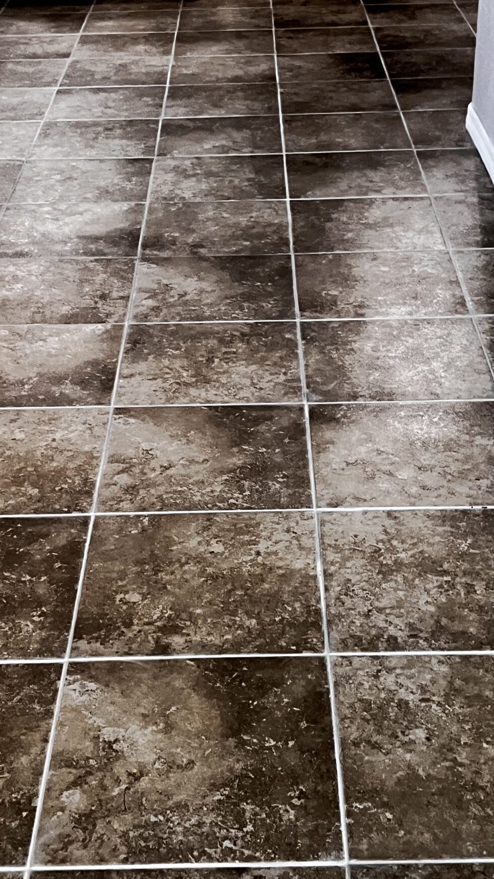 Grout & Tile | Sarasota & Bradenton | GC Grout Solutions